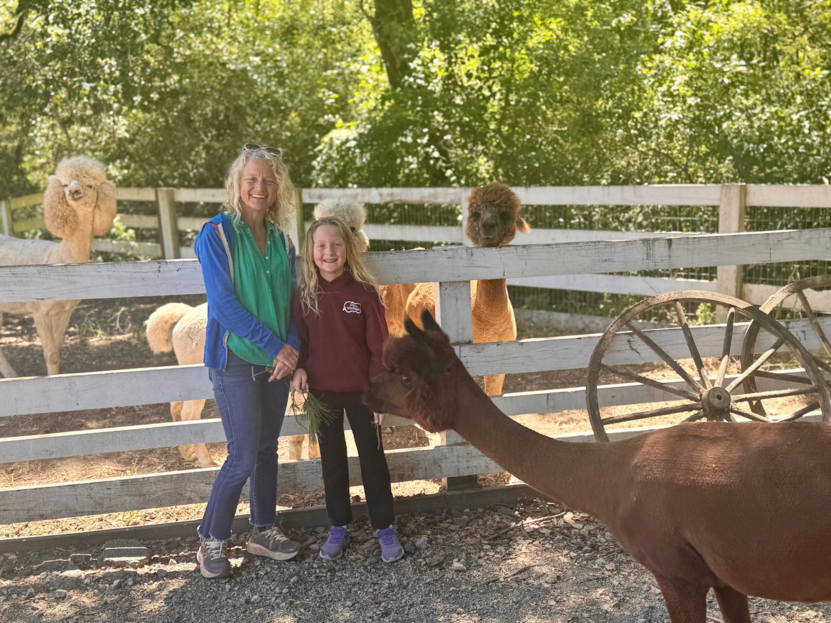 The Healing Power of Alpacas: Why Animal Therapy Is on the Rise – R2 ...